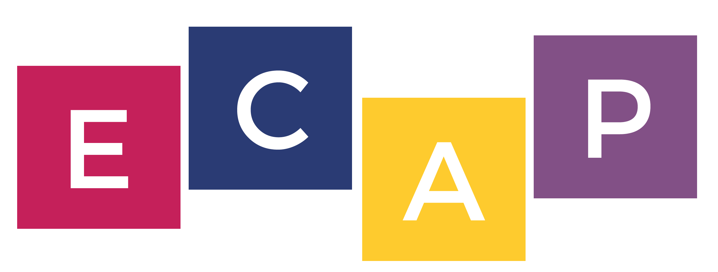 Mentoring Program | EurAPP